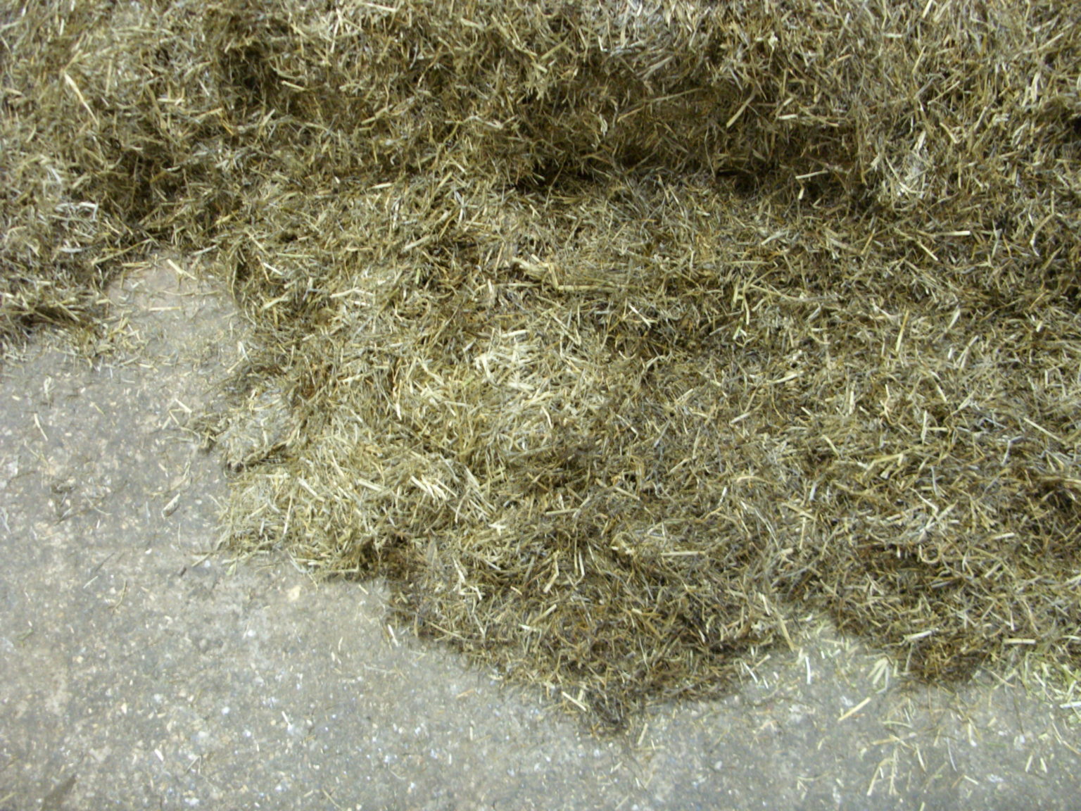 Voeding - Melkveehouderij Mulder vof